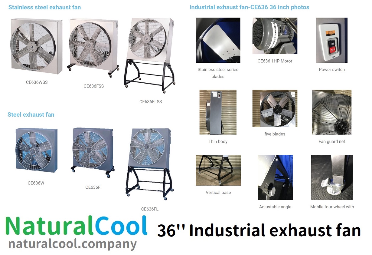 Industrial exhaust fan-CE636 36 inch - 丰自然涼NaturalCool large industrial fan